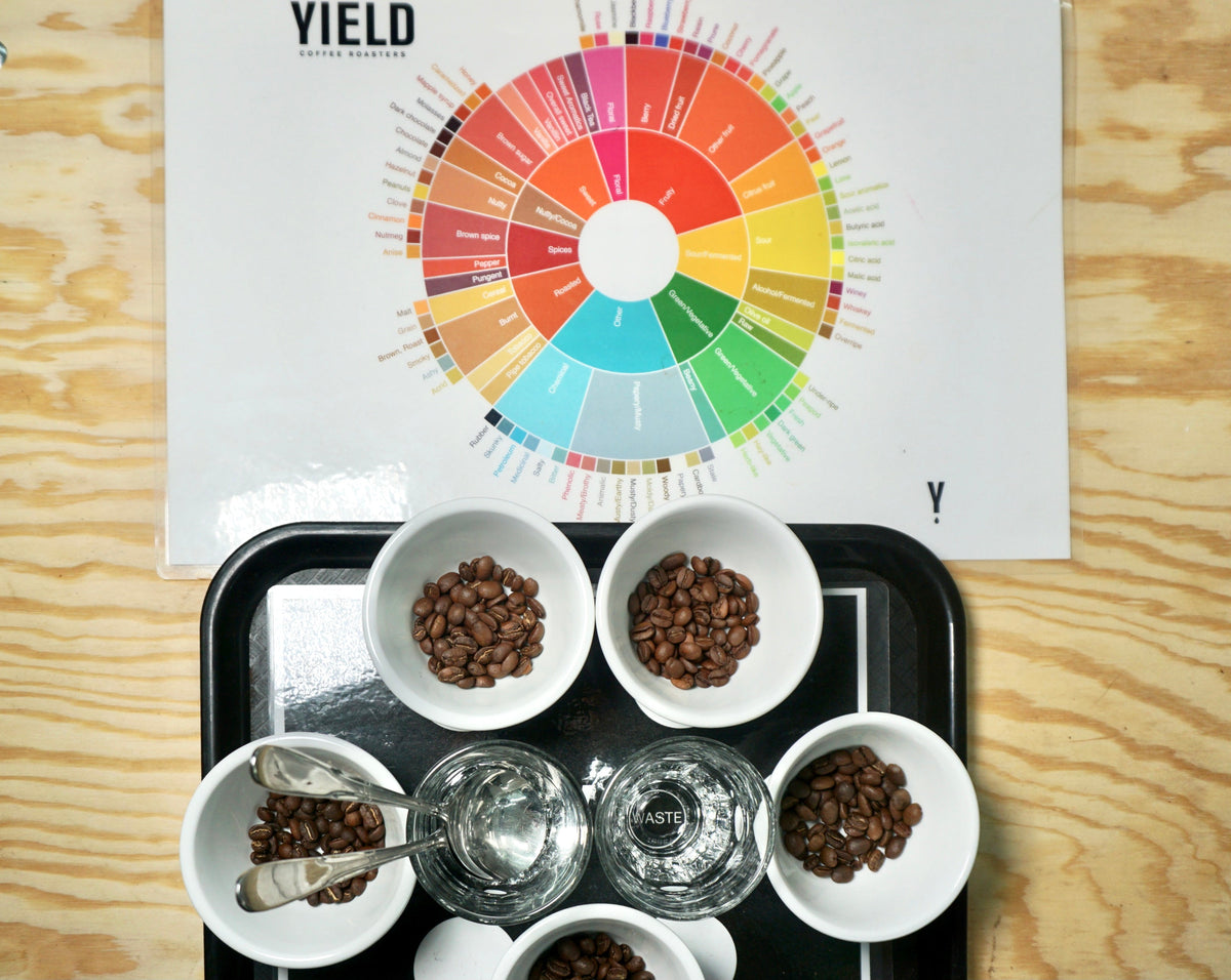 YIELD Coffee Cupping Guidelines – Yield Coffee Roasters