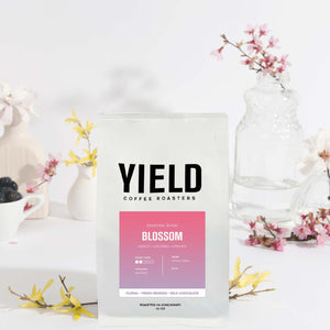 Yield Coffee | Cincinnati, Ohio Specialty Coffee Roaster – Yield Coffee ...